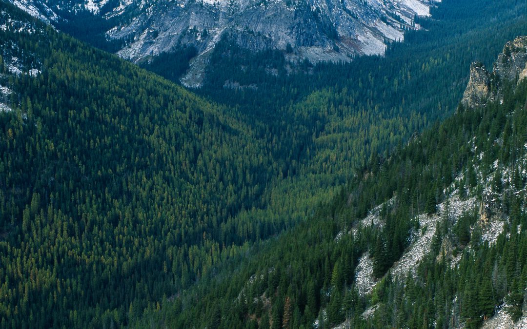 ThinkstockPhotos-626700564-1-1080×675 | Ravalli County Fish & Wildlife ...